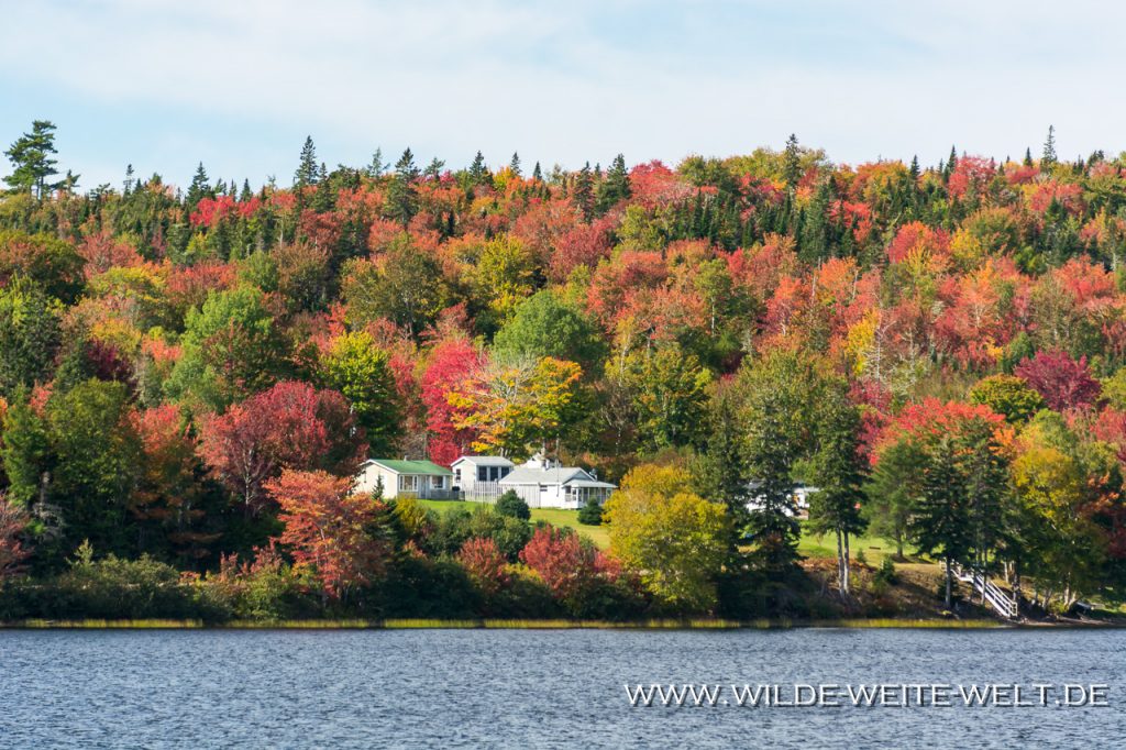 Fall Color am Lochiel Lake - www.wilde-weite-welt.de
