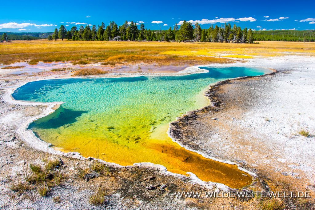 Yellowstone National Park: Heiße Quellen, Geysire & Fumarolen / Thermal ...