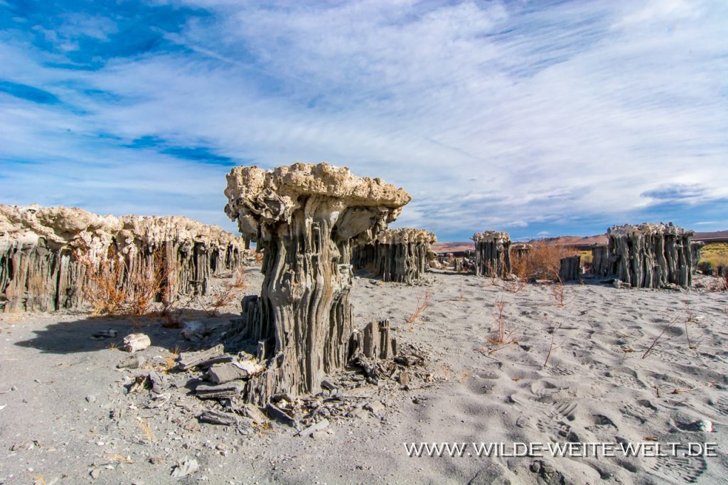 Mono Lake: South Tufa, Sand Tufa & Panum Crater [California] - www ...