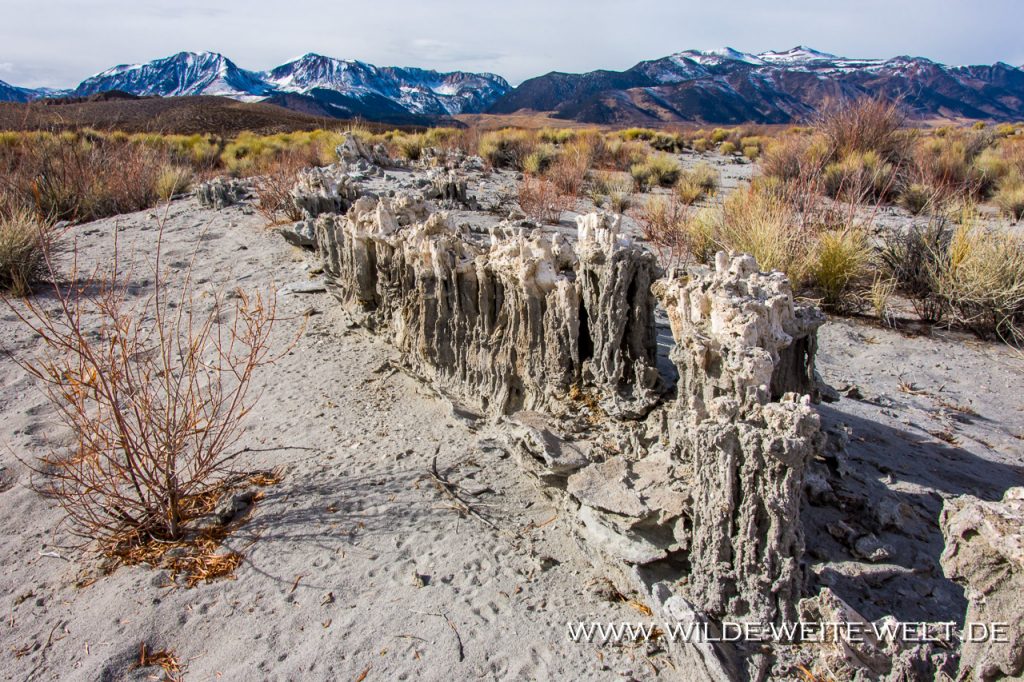 Mono Lake: South Tufa, Sand Tufa & Panum Crater [California] - www ...