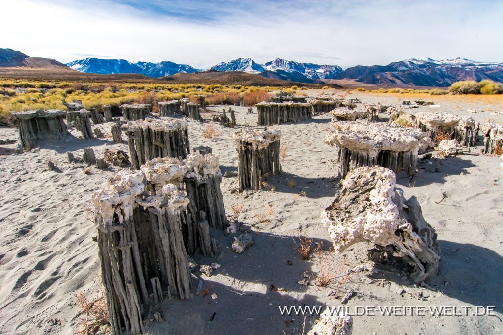 Mono Lake: South Tufa, Sand Tufa & Panum Crater [California] - www ...